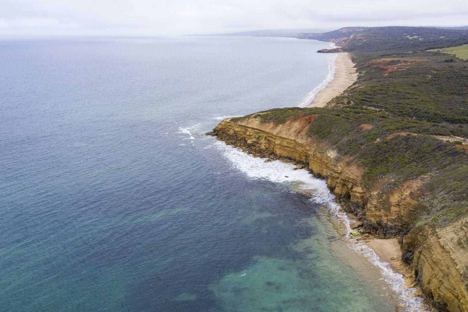 QLD GOV – Business Innovation Acceleration Program - First Australians ...